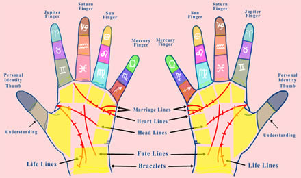 Palm Reading | Astro Bawa Ji